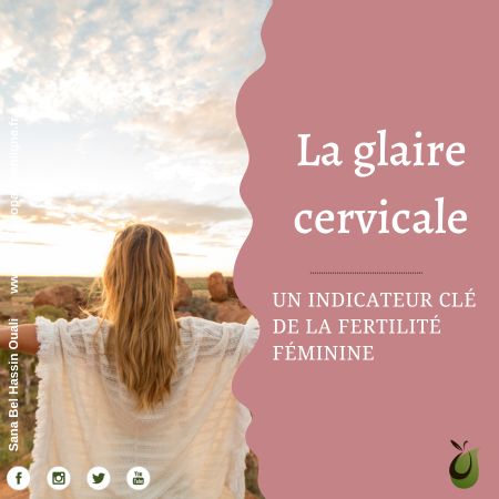 La glaire cervicale : un indicateur clé de la fertilité féminine